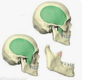 Botox® for Teeth Grinding, Jaw Clenching & Dental Implants